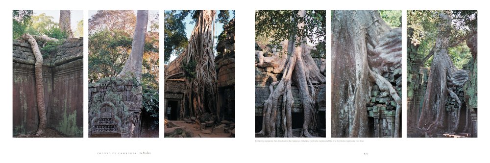 Haim Dabah Photography - Colors of Cambodia